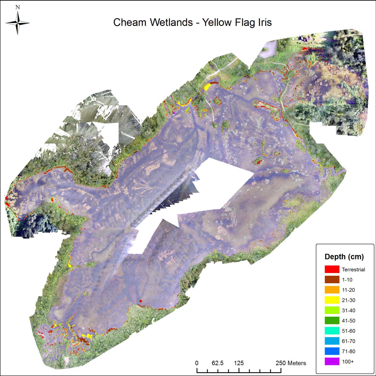 Weed Management Plans - Agrowest